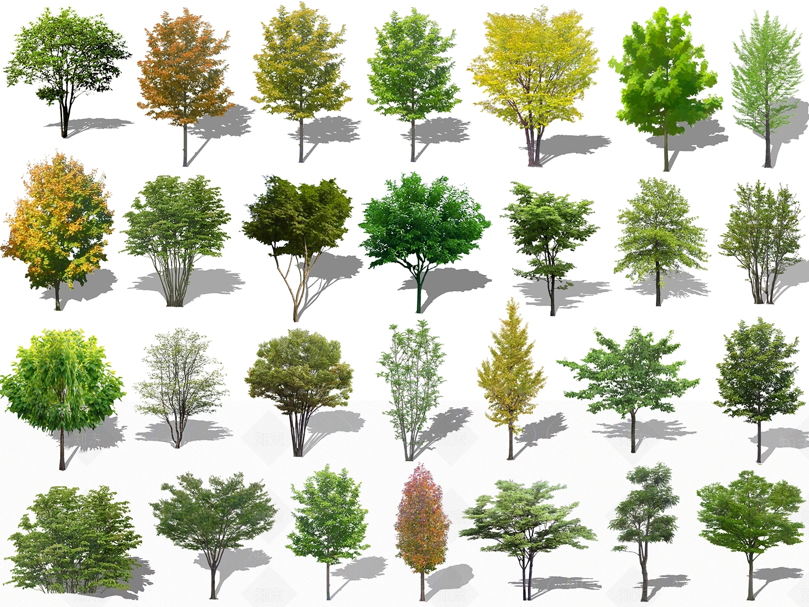 现代2D树木SU模型下载【ID:153555670】_知末su模型网