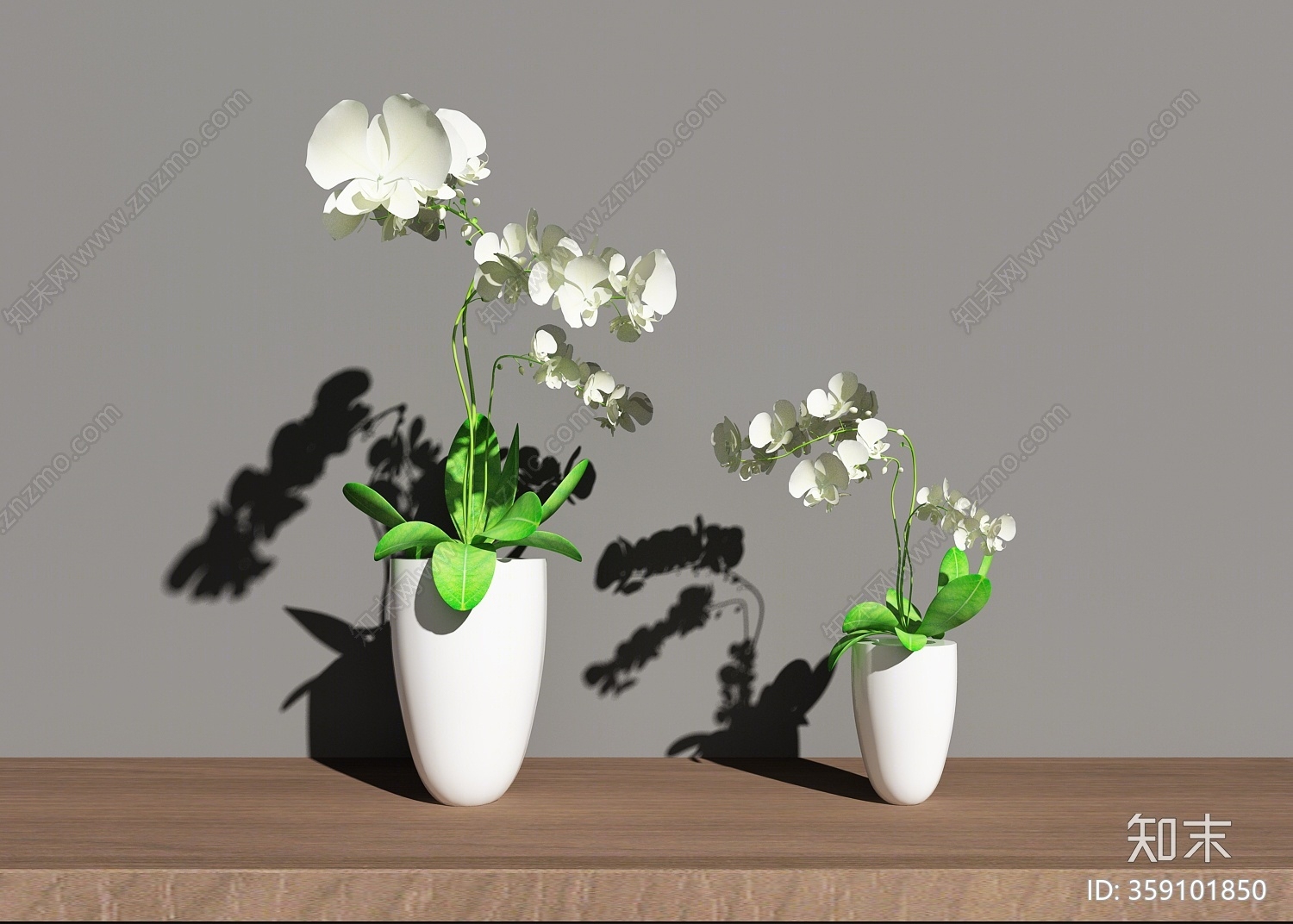 现代兰花3d模型下载【id359101850】知末3d模型网