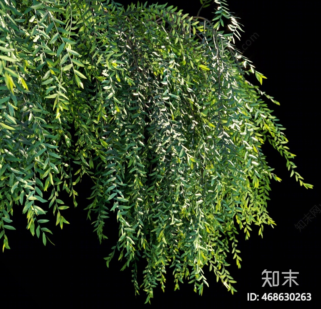 现代绿植藤蔓3d模型下载【id468630263】知末3d模型网