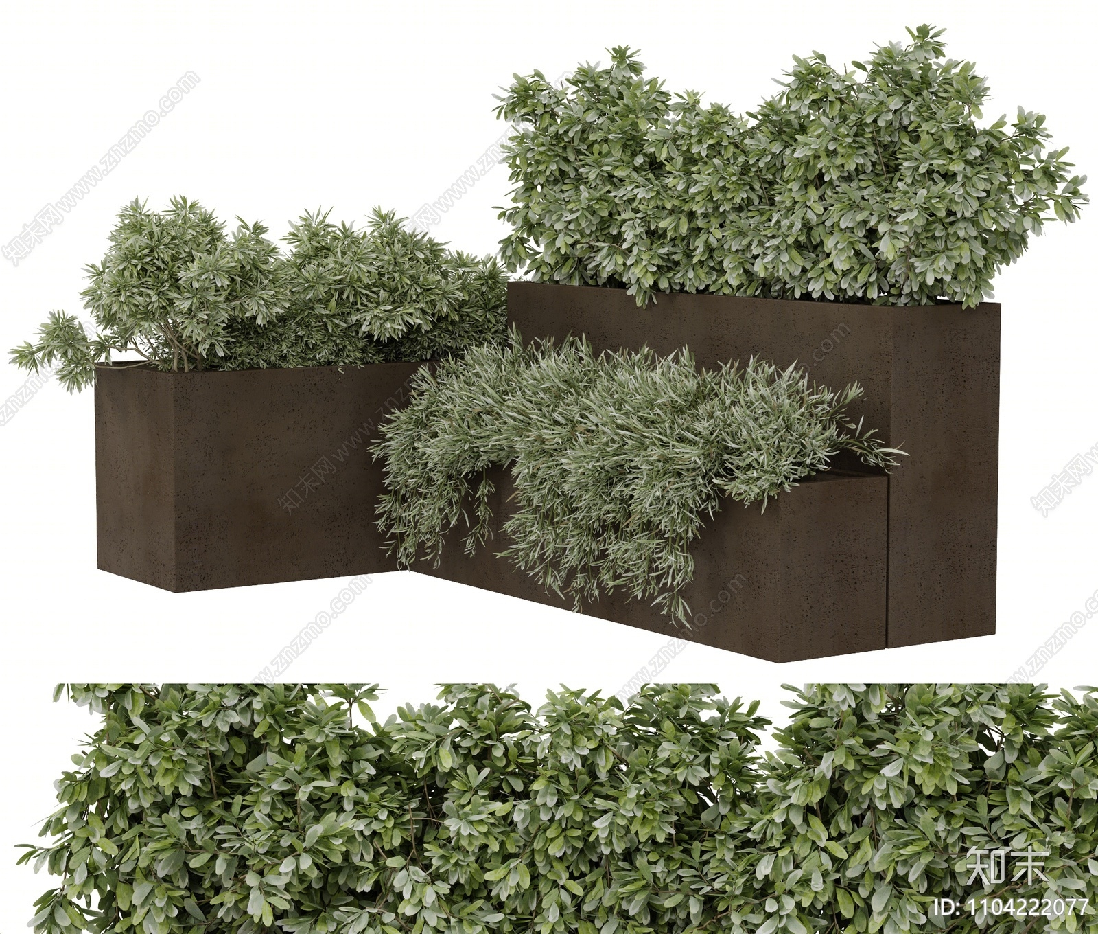 现代绿植花坛3d模型下载【id1104222077】知末3d模型网