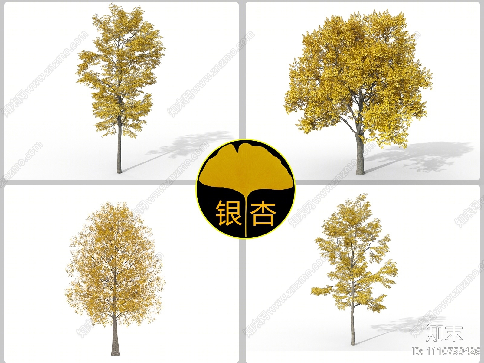 现代银杏树3d模型下载【id1110759426】知末3d模型网