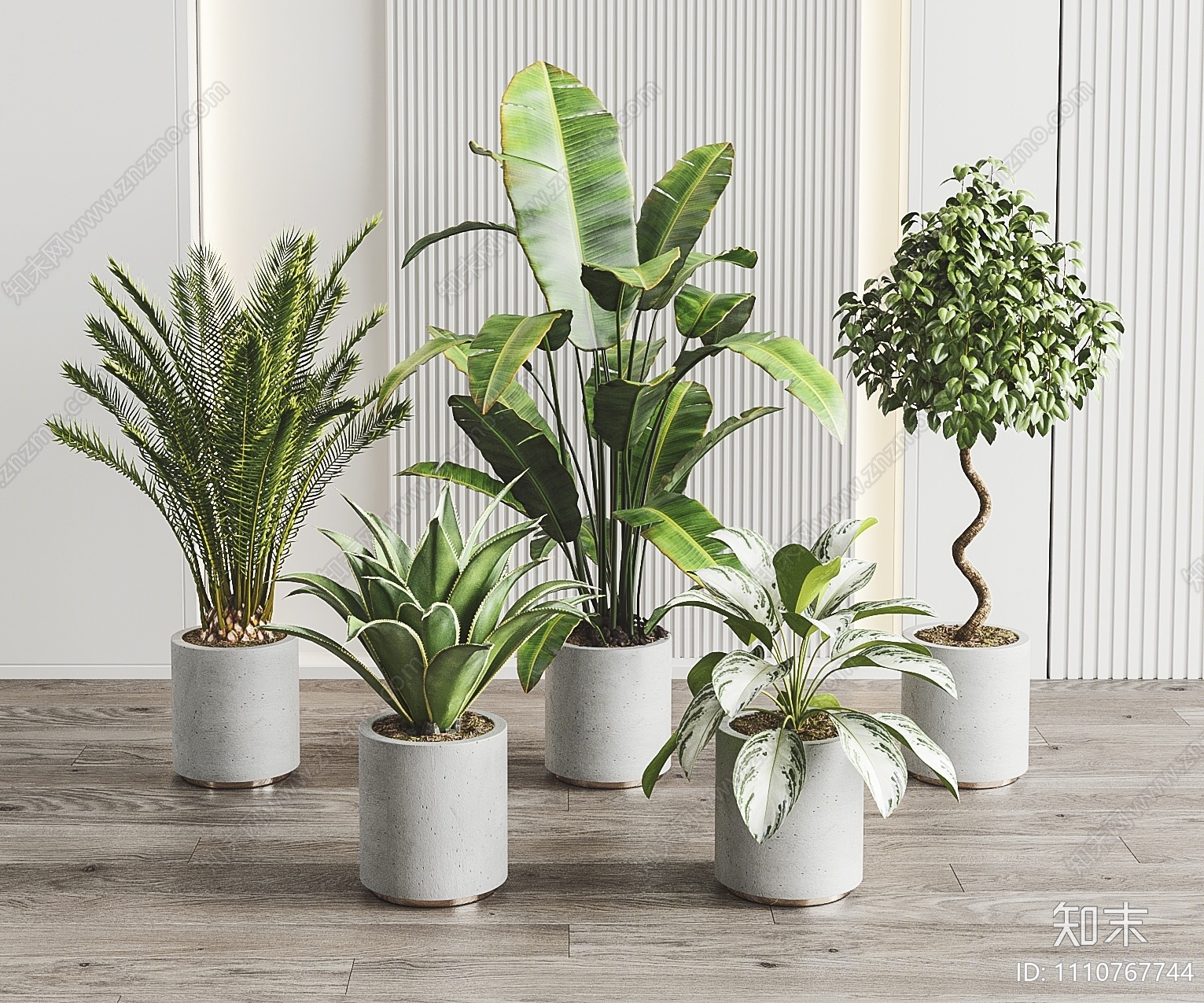 现代绿植盆栽组合3d模型下载【id1110767744】知末3d模型网