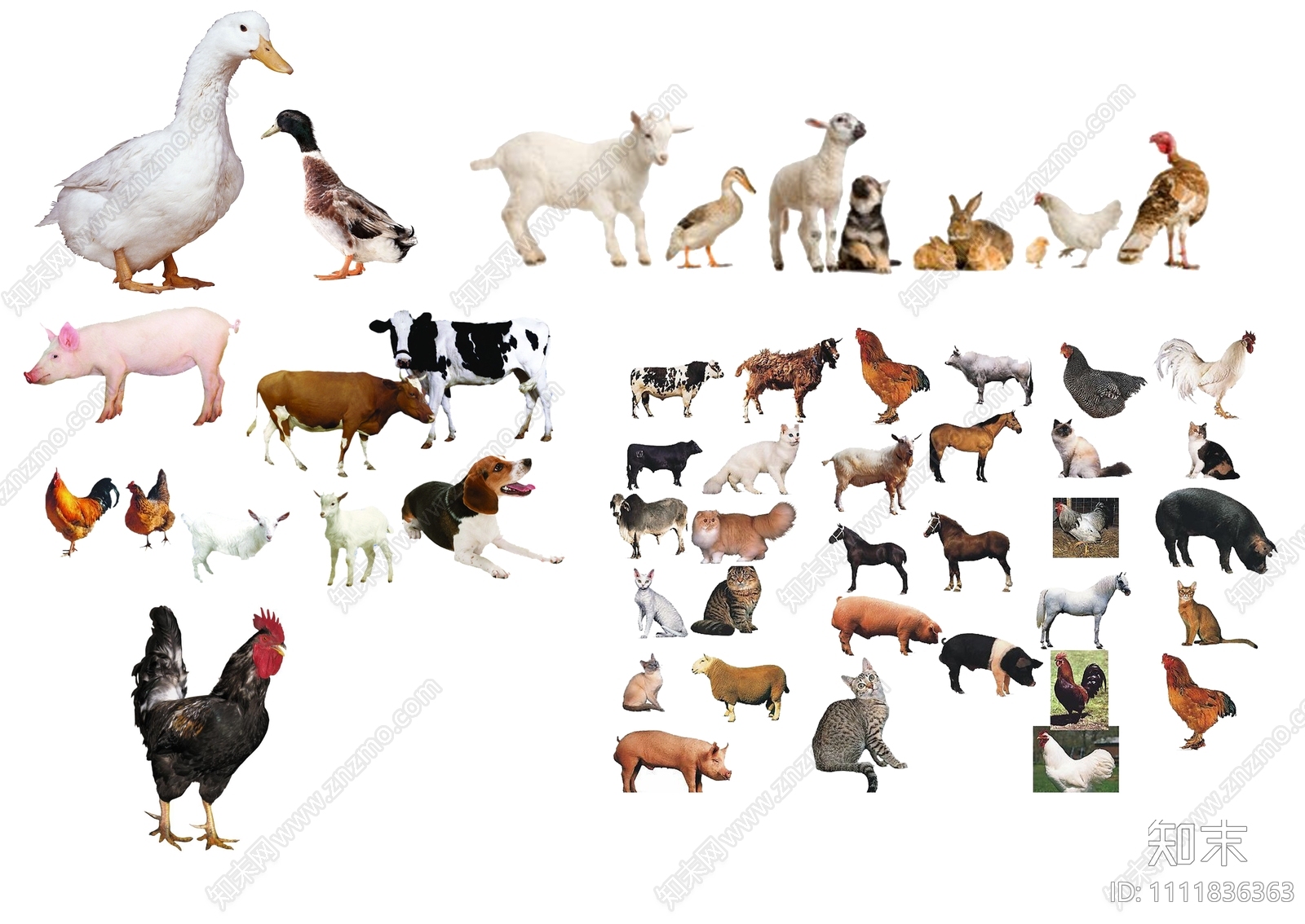 动物免抠图psd贴图下载【ID:1111836363】_【知末网贴图库】