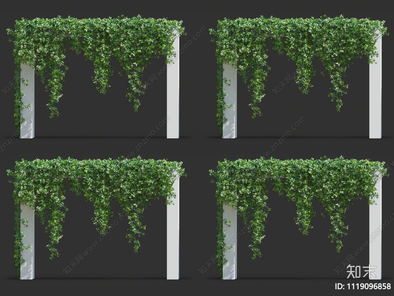 藤蔓植物3d模型下载【id1119096858】知末3d模型网