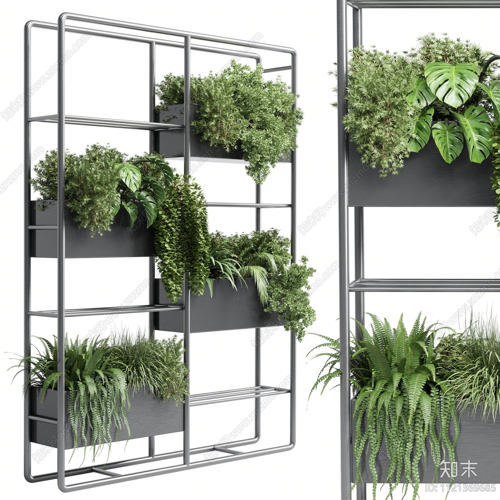 现代植物架3d模型下载【id1121369685】知末3d模型网