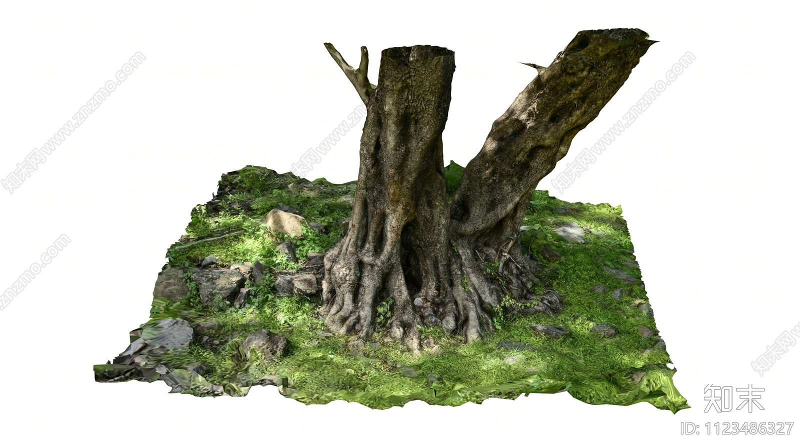 植物su模型下载【id1123486327】知末su模型网