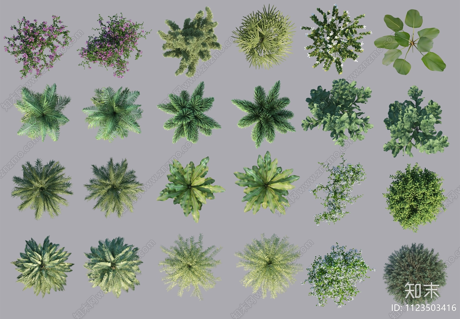 平面植物素材psd免抠下载【id1123503416】undefined