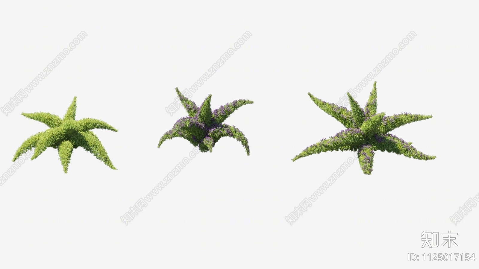 灌木3d模型下载【id1125017154】知末3d模型网