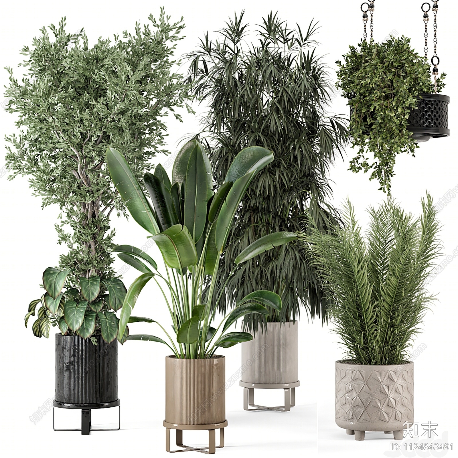 现代绿植盆景盆栽组合3d模型下载【id1124843491】知末3d模型网
