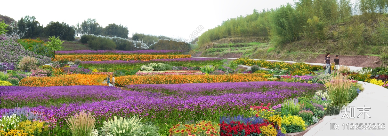 花镜花海植物景观效果图psd免抠下载【id1126563226】undefined
