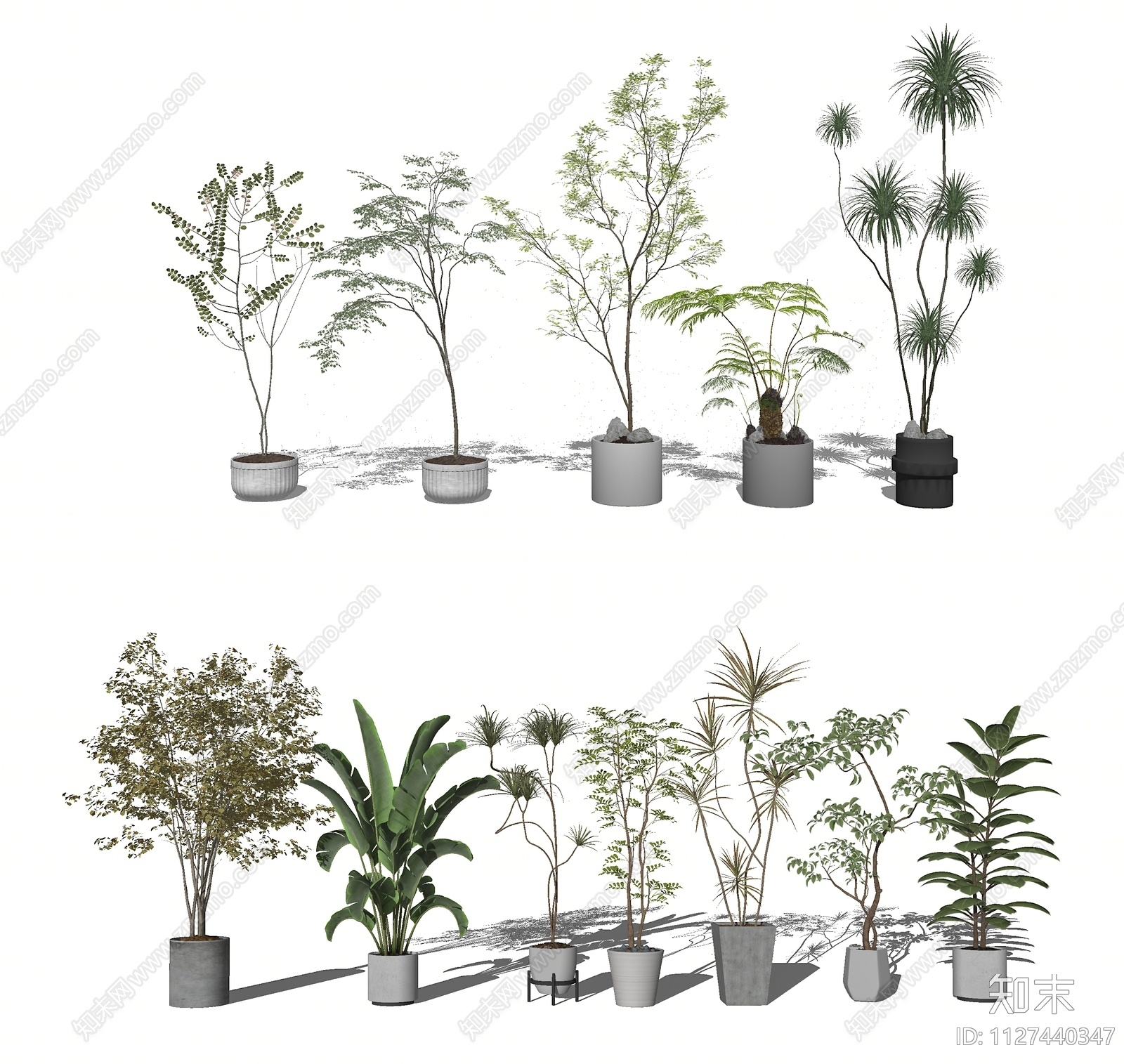 绿植盆栽组合su模型下载【id1127440347】知末su模型网