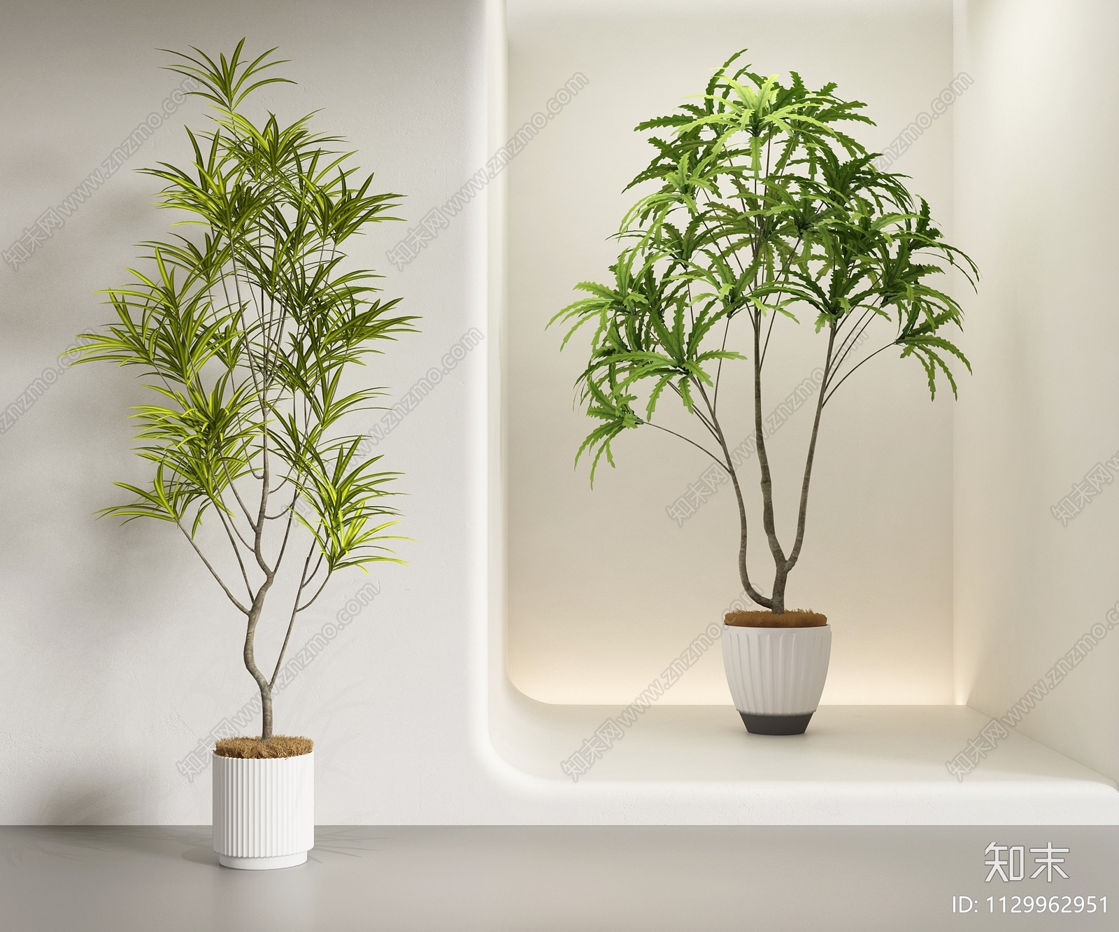 绿植盆栽3d模型下载【id1129962951】知末3d模型网