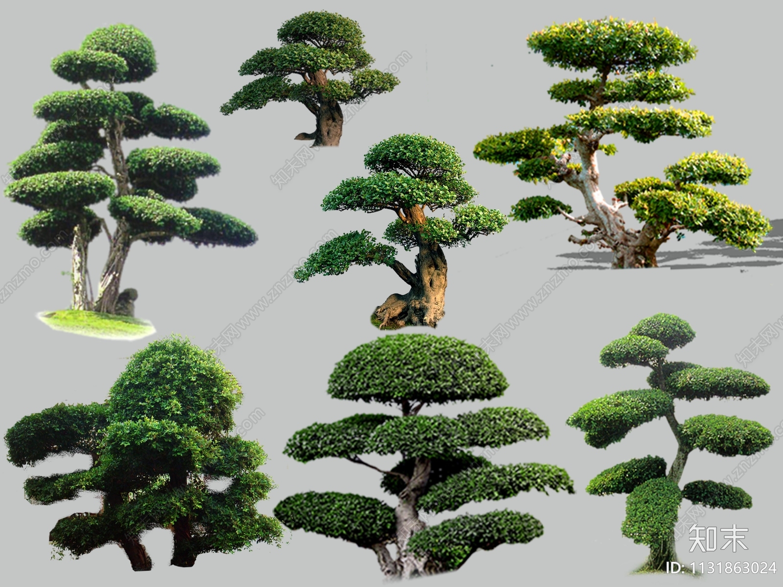 免抠植物下载【id1131863024】undefined