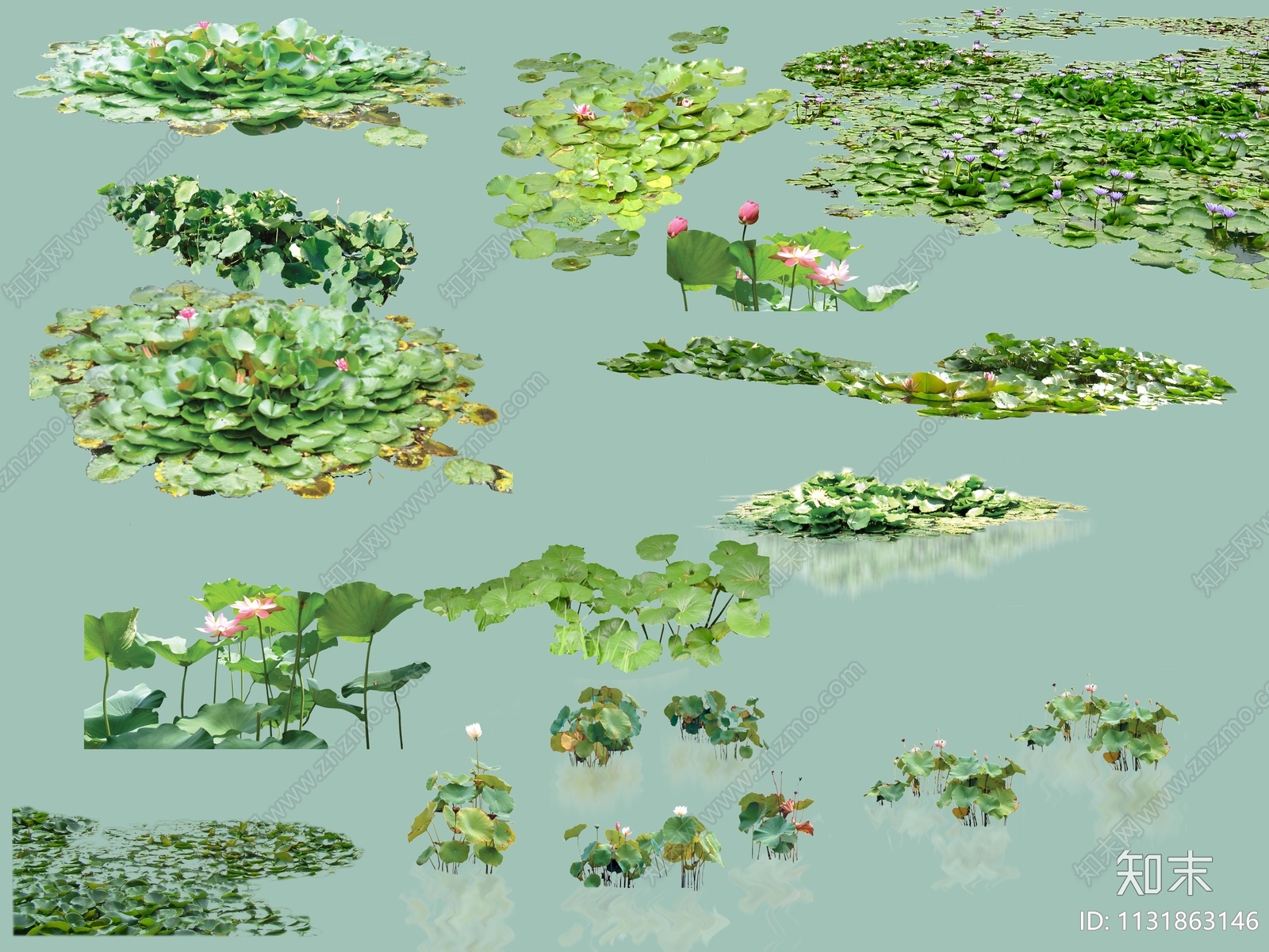 免抠植物素材下载【id1131863146】undefined
