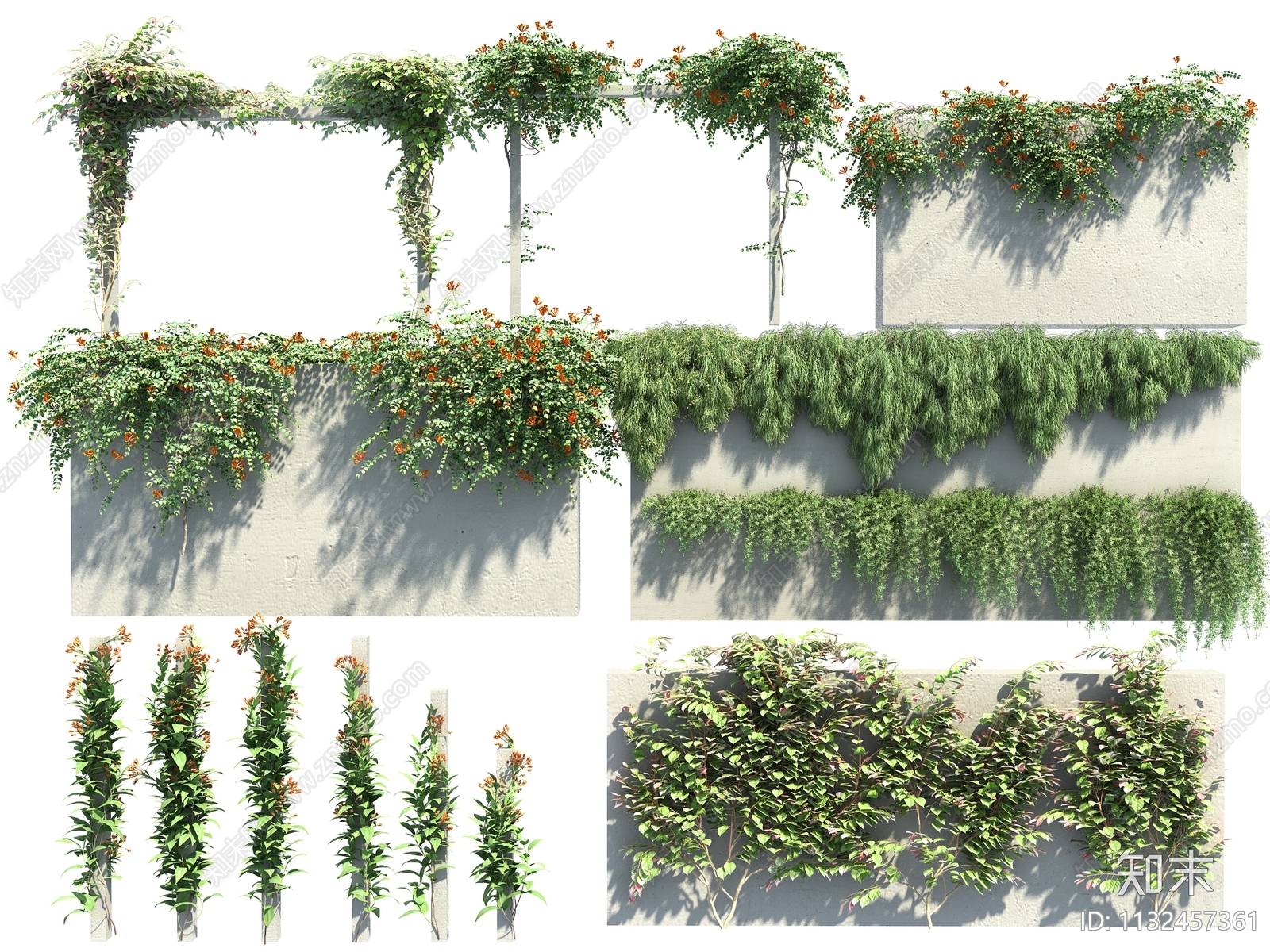 现代绿植藤蔓3d模型下载【id1132457361】知末3d模型网