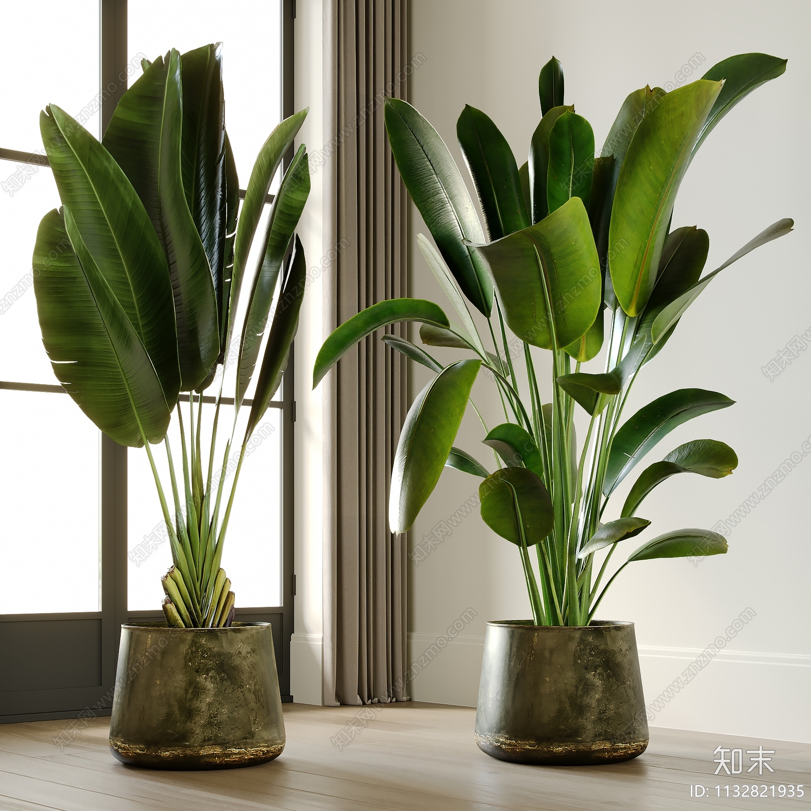 现代绿植盆栽3d模型下载【id1132821935】知末3d模型网