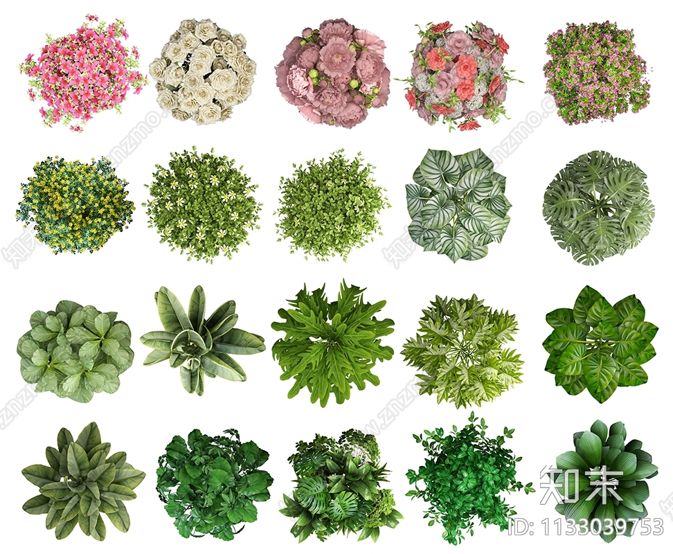 平面盆栽植物免抠psd素材下载【id1133039753】undefined