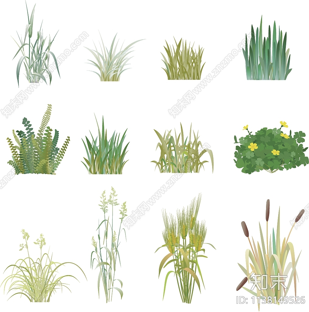 插画风草本植物psd免抠下载【id1138149526】undefined