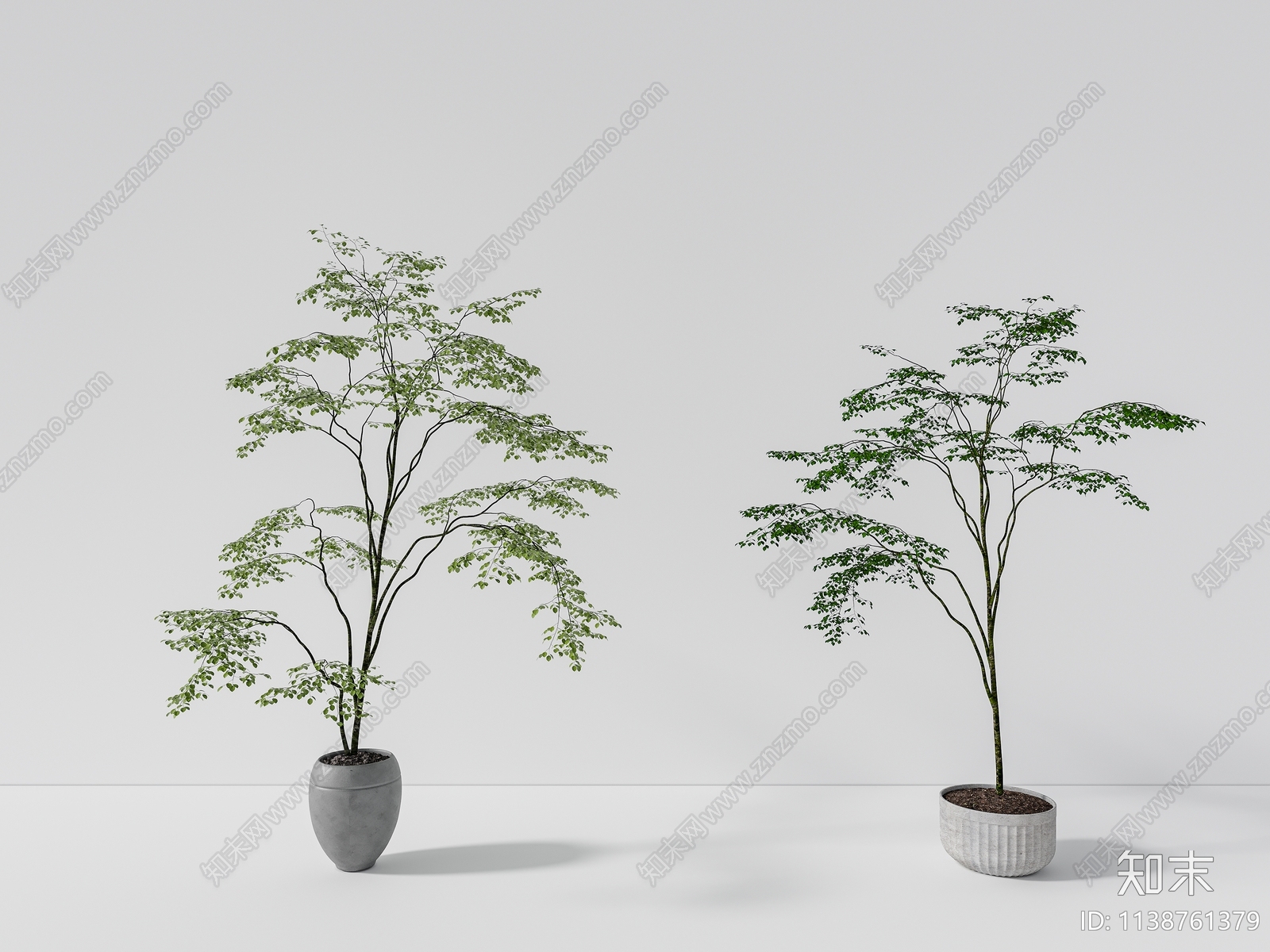 绿植盆栽植物3d模型下载【id1138761379】知末3d模型网