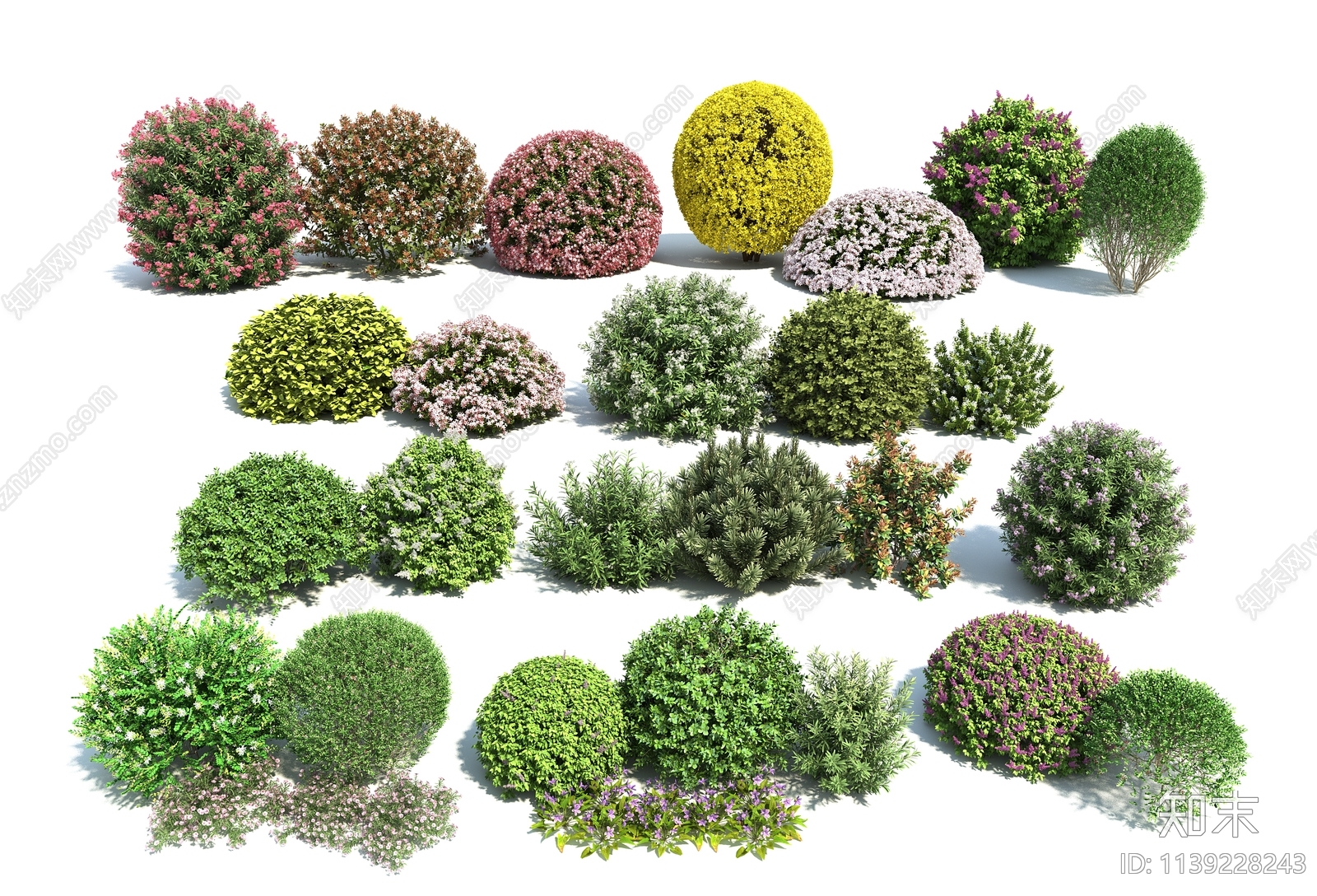 花卉灌木组合3d模型下载【id1139228243】知末3d模型网