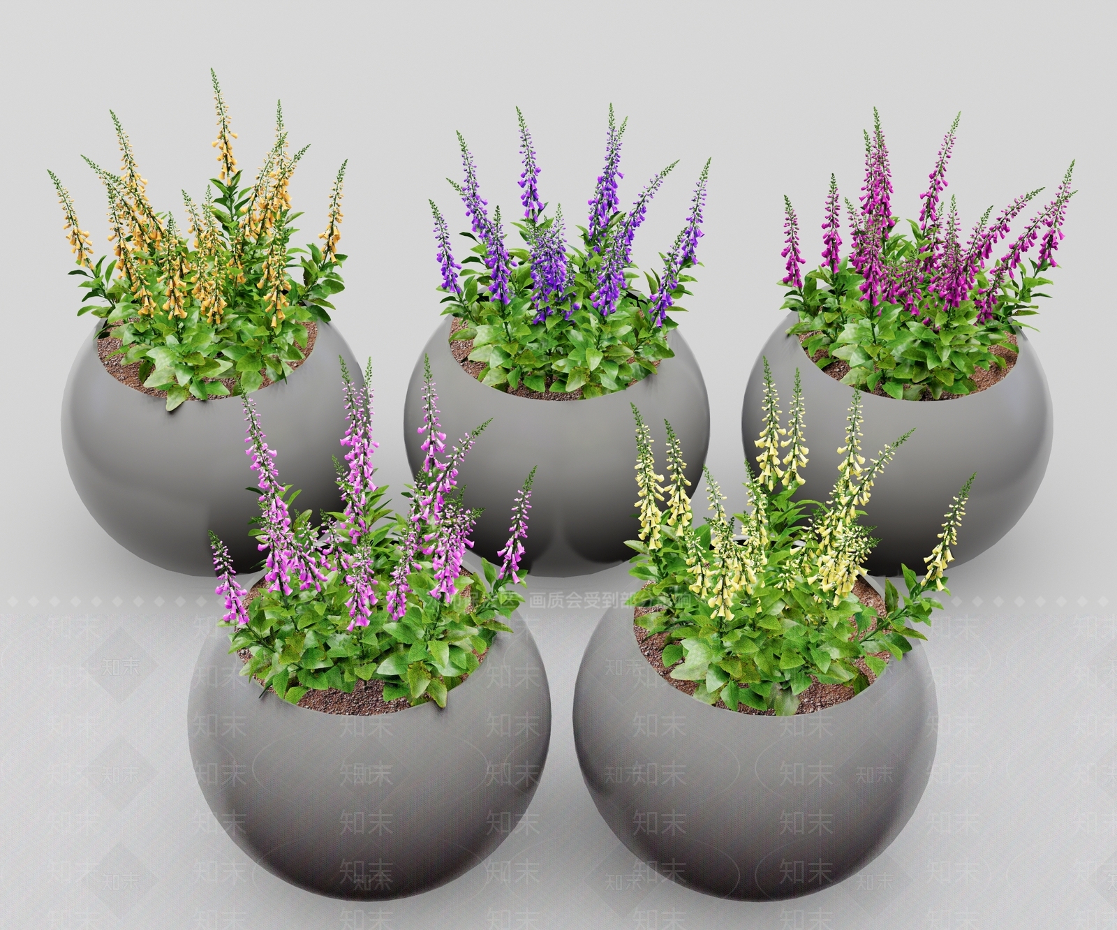 花草花卉SU模型下载【ID:1140047969】_知末su模型网