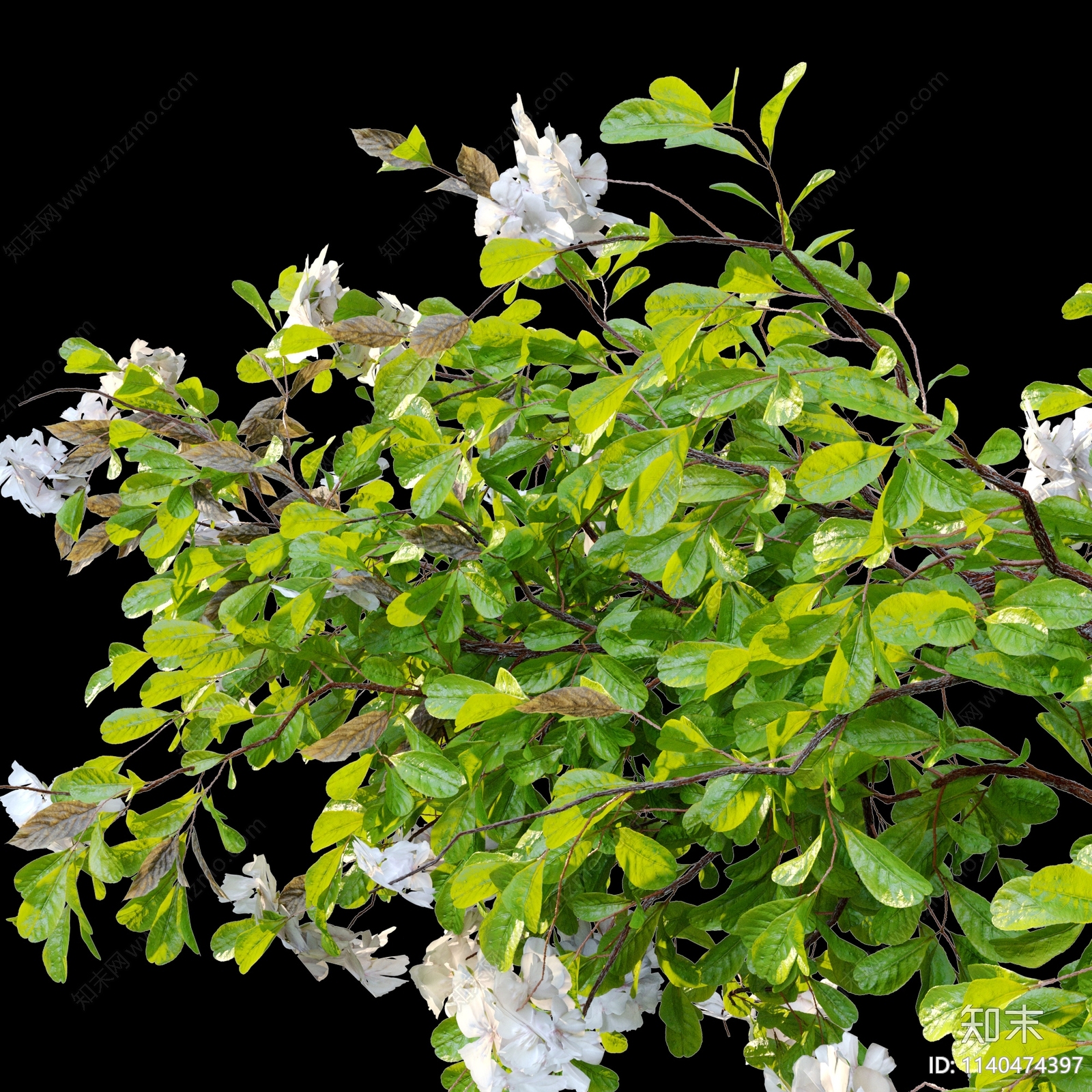 现代藤蔓植物3d模型下载【id1140474397】知末3d模型网