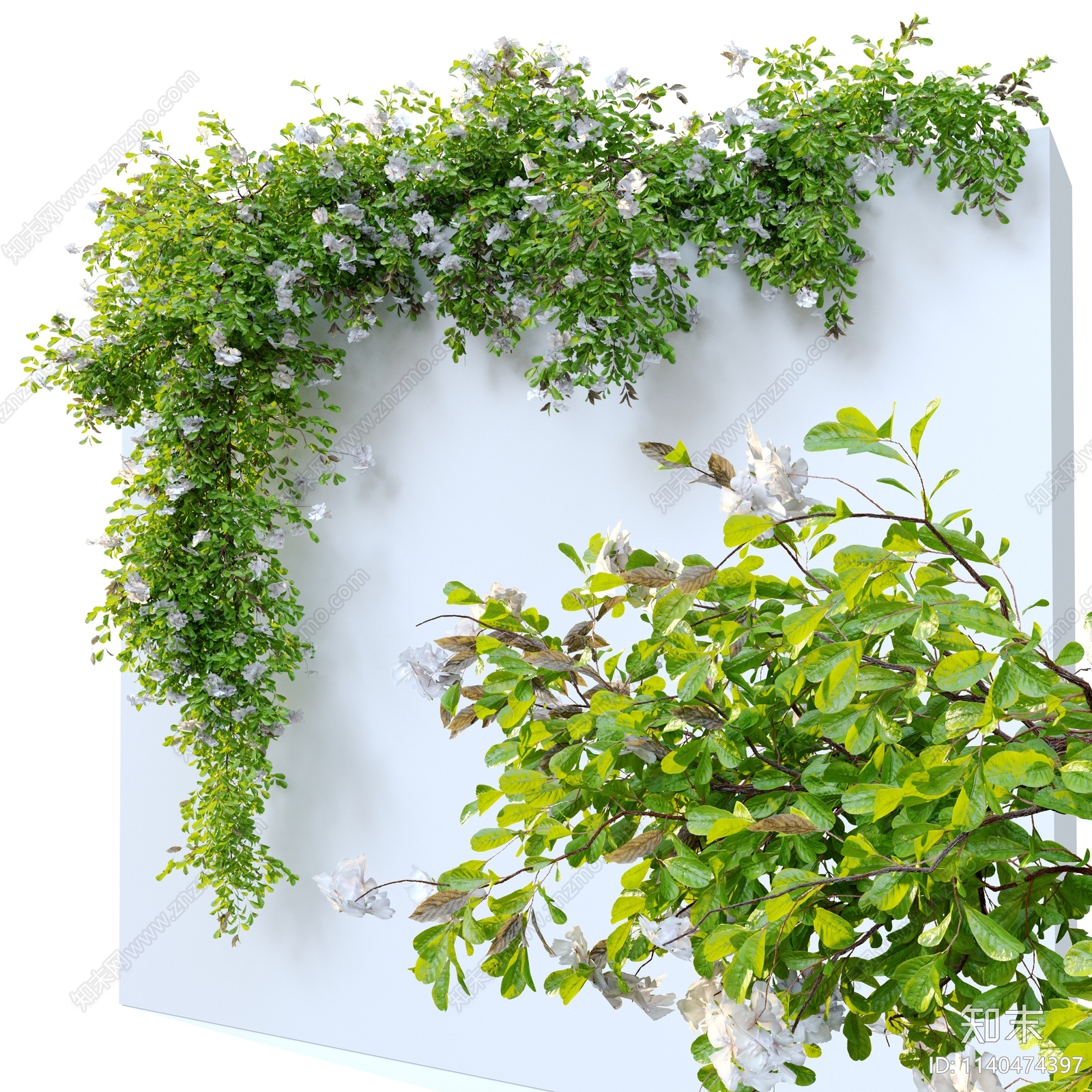 现代藤蔓植物3d模型下载【id1140474397】知末3d模型网