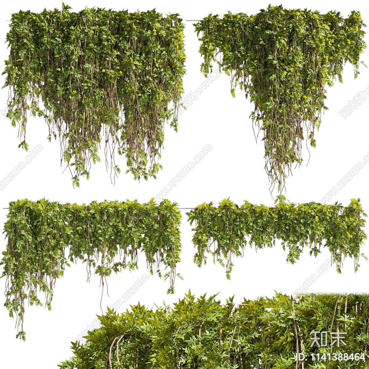 现代藤蔓植物3d模型下载【id1141388464】知末3d模型网