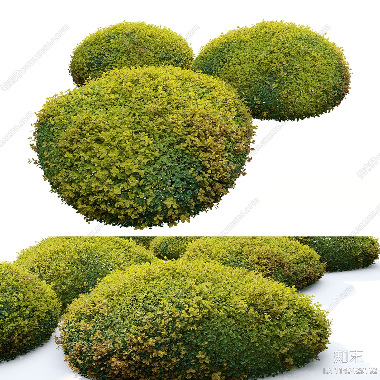植物灌木3d模型下载【id1145429162】知末3d模型网