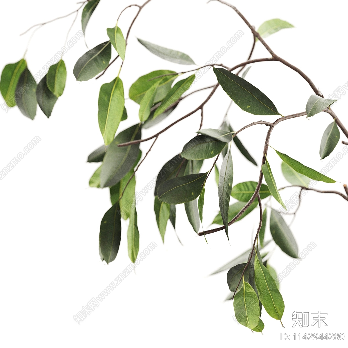现代绿植摆件3d模型下载【id1142944280】知末3d模型网