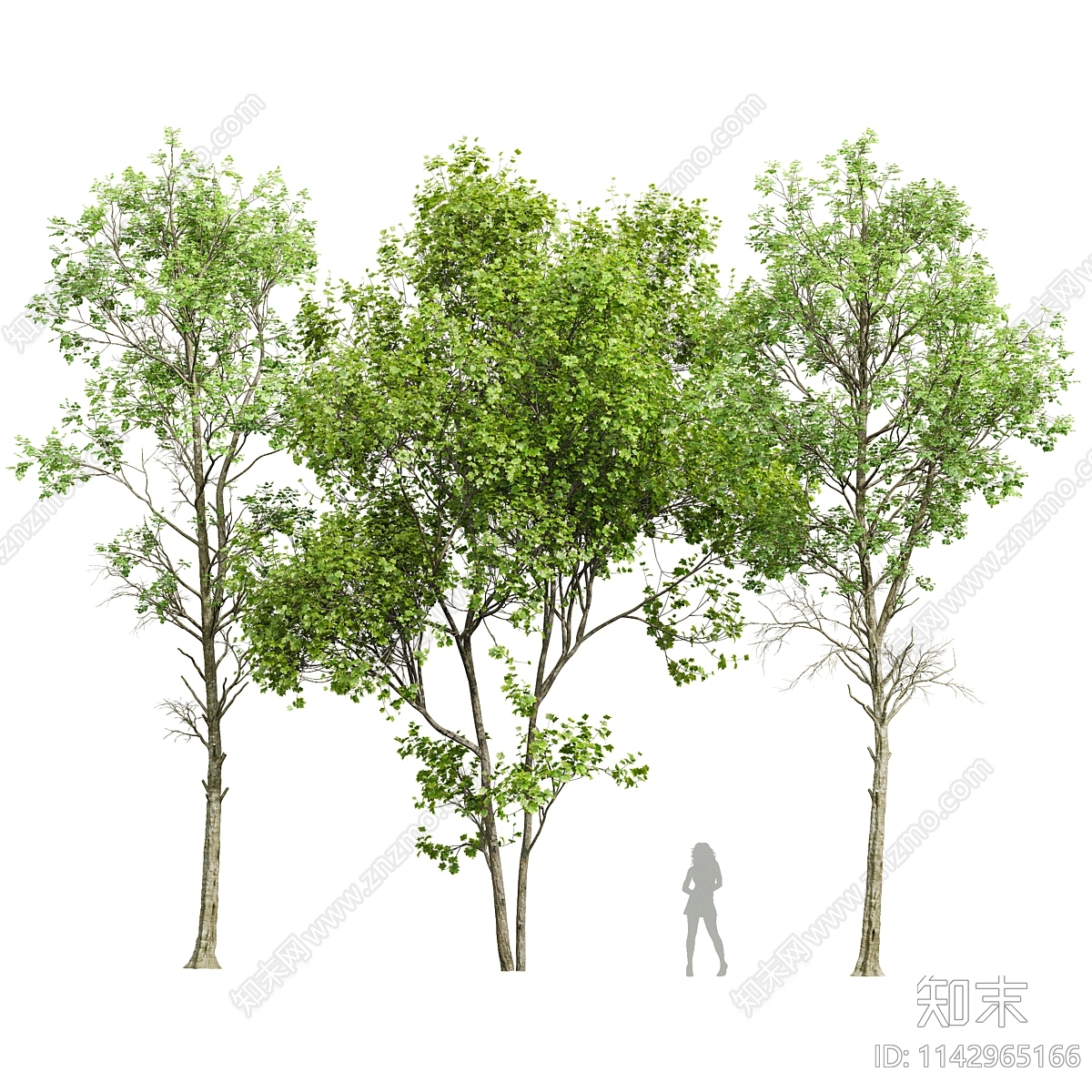 户外景观树3d模型下载【id1142965166】知末3d模型网