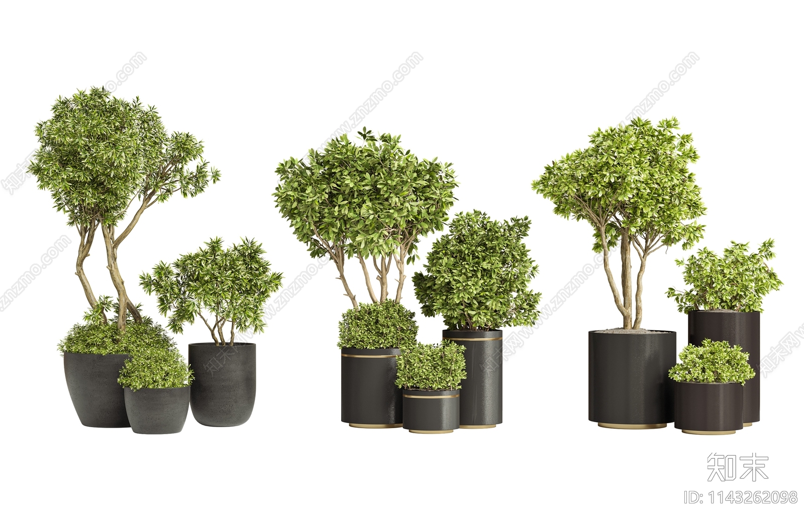 室内盆栽植物组合3d模型下载【id1143262098】知末3d模型网