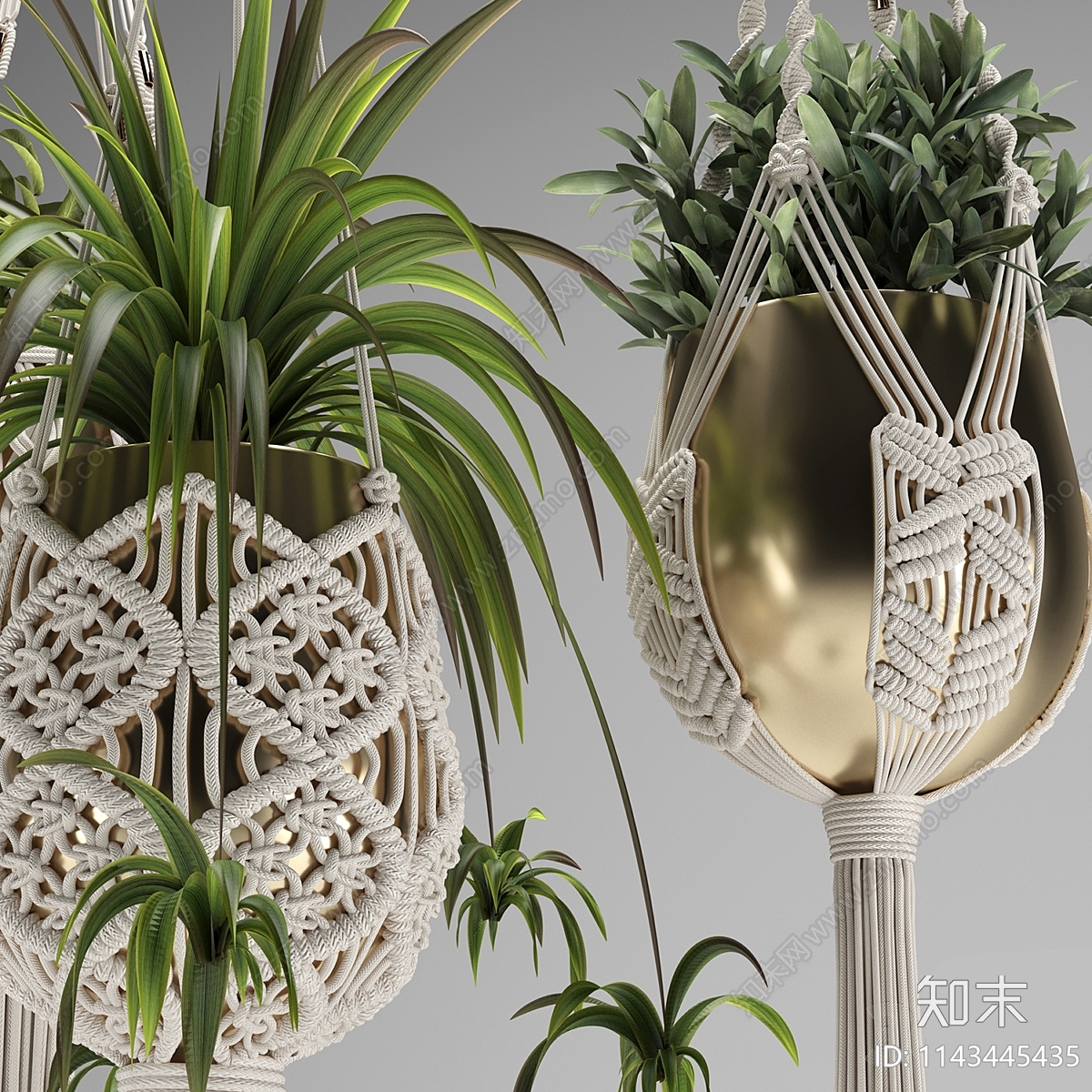 现代绿植吊篮3d模型下载【id1143445435】知末3d模型网