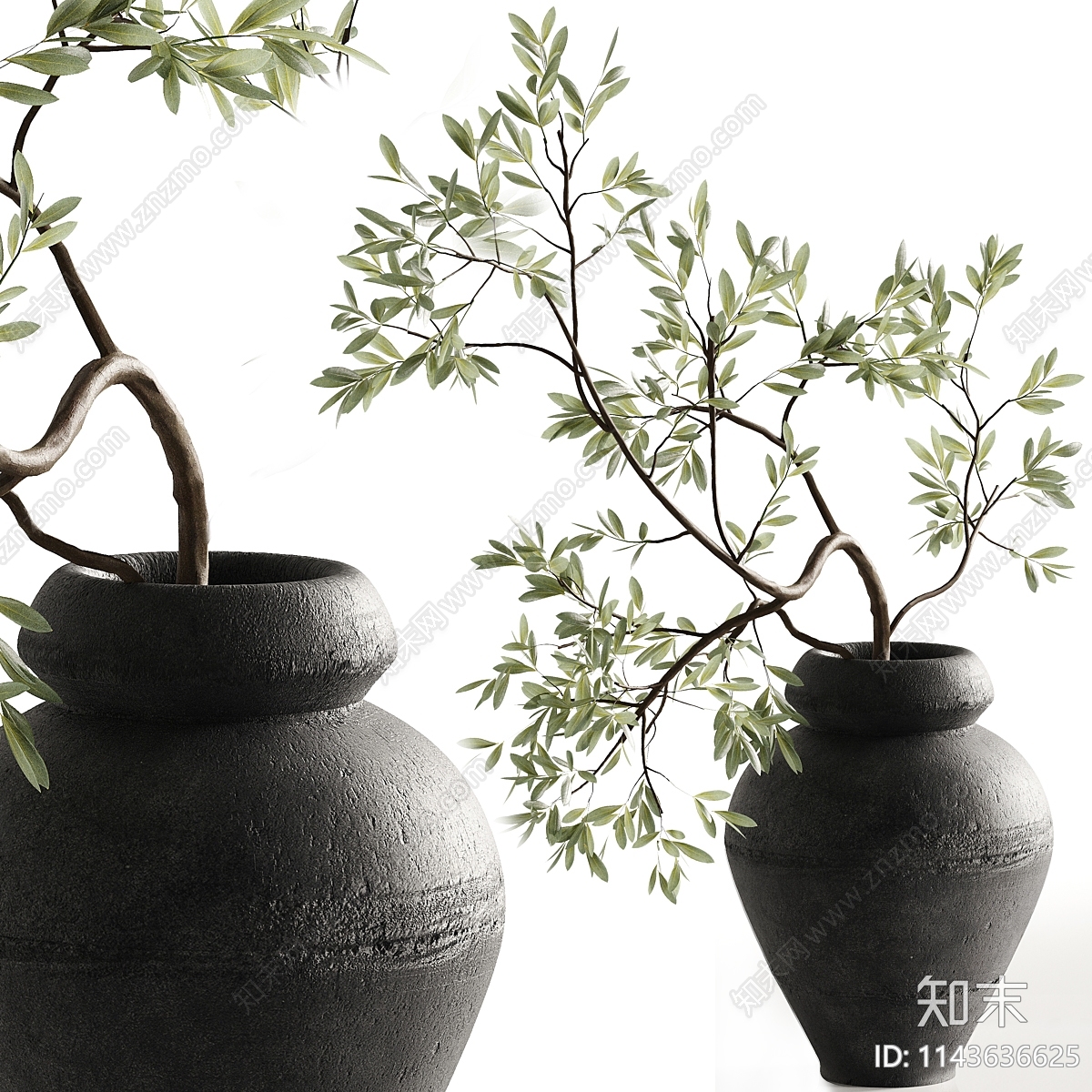 现代绿植摆件3d模型下载【id1143636625】知末3d模型网