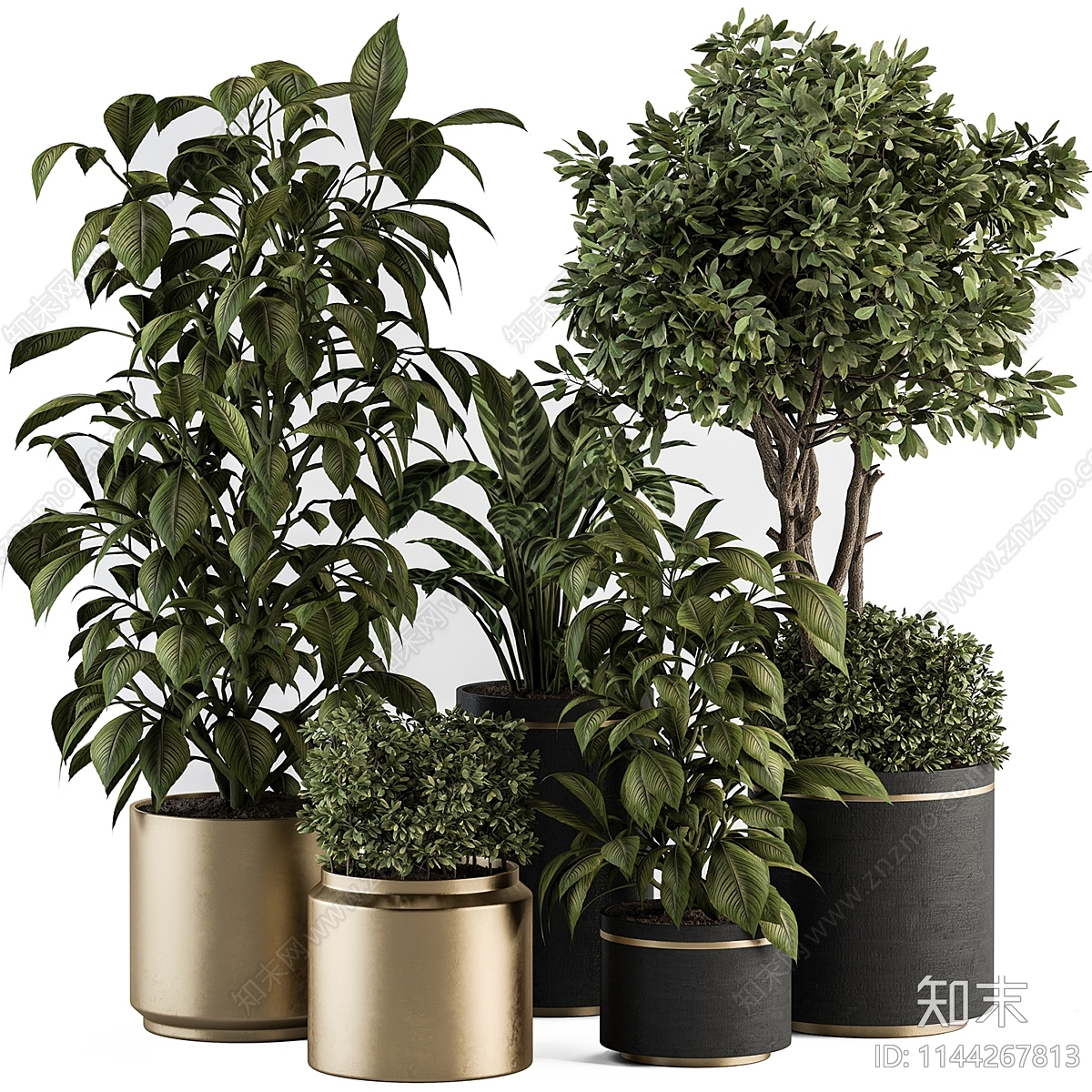 现代植物盆栽组合3d模型下载【id1144267813】知末3d模型网