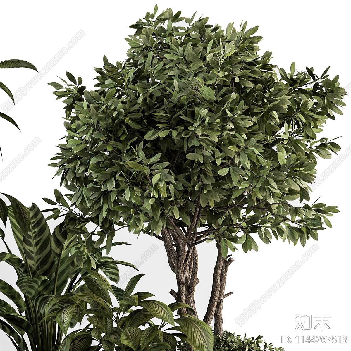 现代植物盆栽组合3d模型下载【id1144267813】知末3d模型网