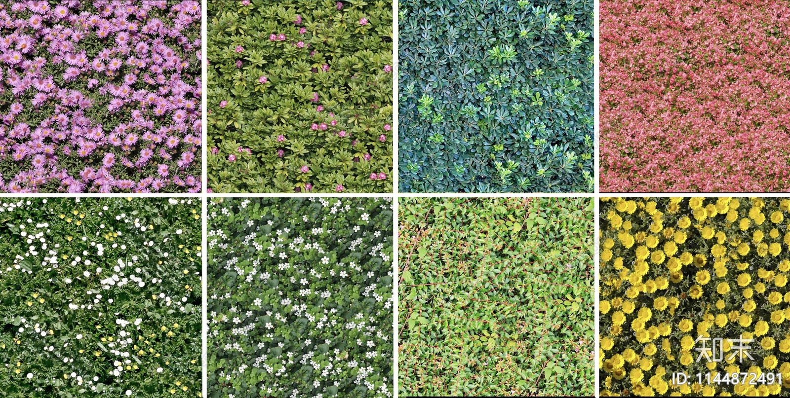 景观平面草花花卉植物纹理psd免抠下载【id1144872491】undefined
