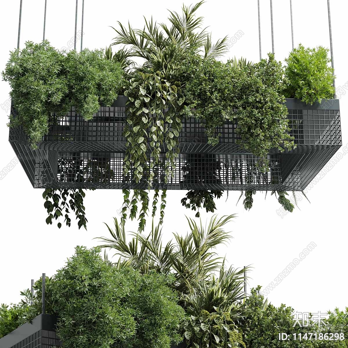 现代绿植吊篮3d模型下载【id1147186298】知末3d模型网
