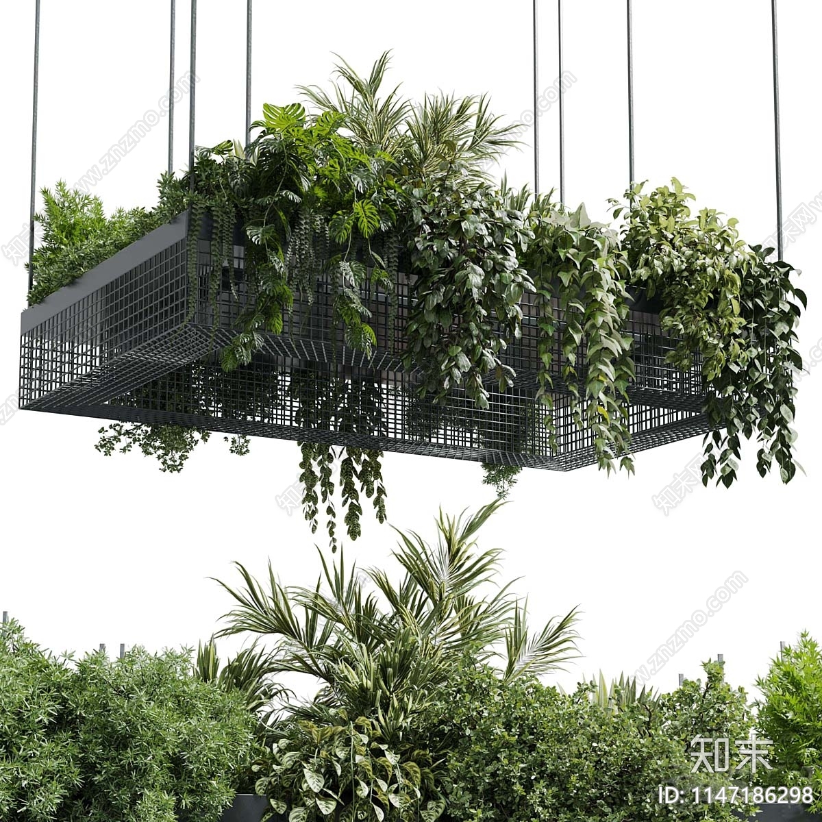 现代绿植吊篮3d模型下载【id1147186298】知末3d模型网