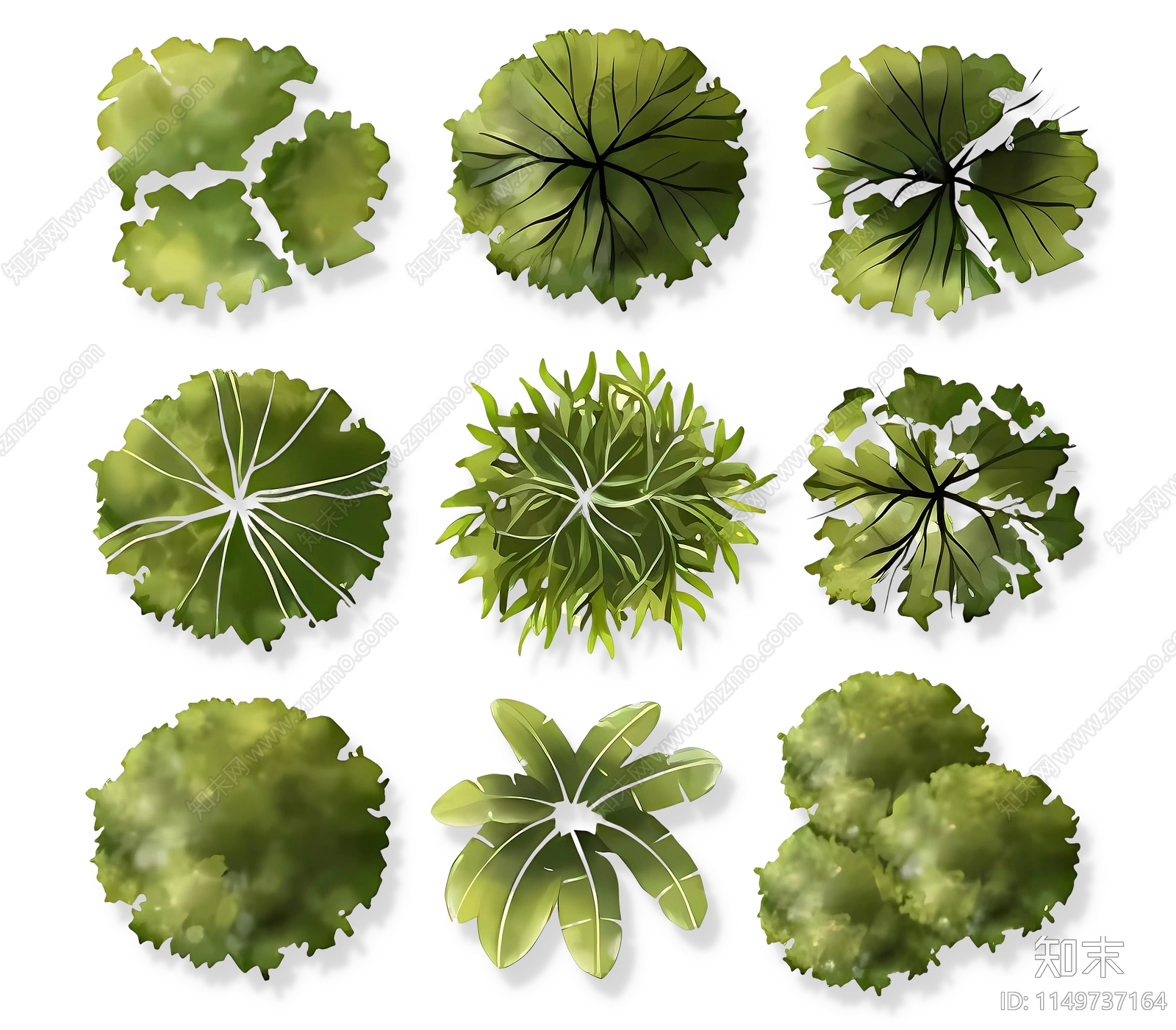 Psd免抠平面植物素材下载【id1149737164】undefined