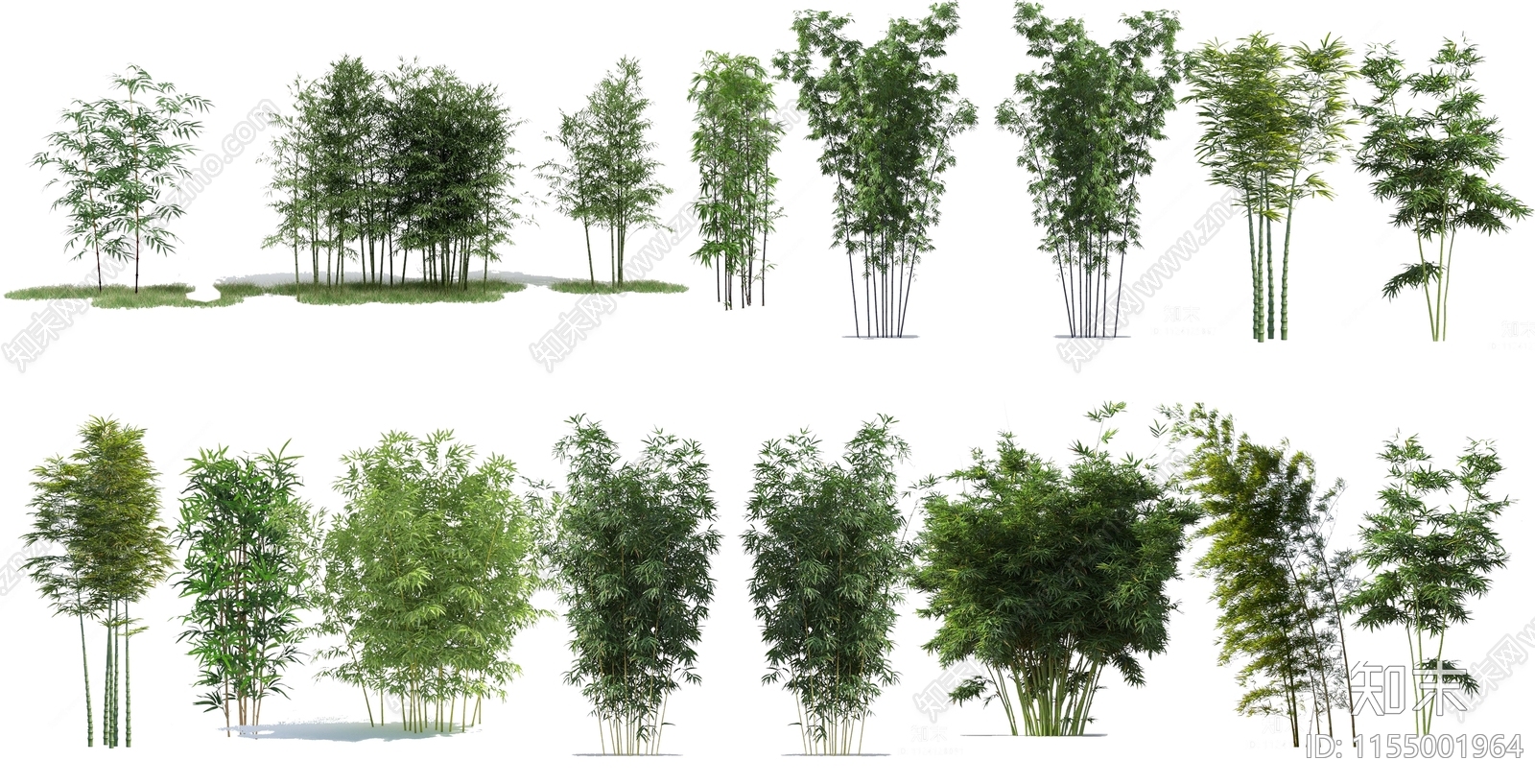 Psd免抠景观植物竹子下载【id1155001964】undefined