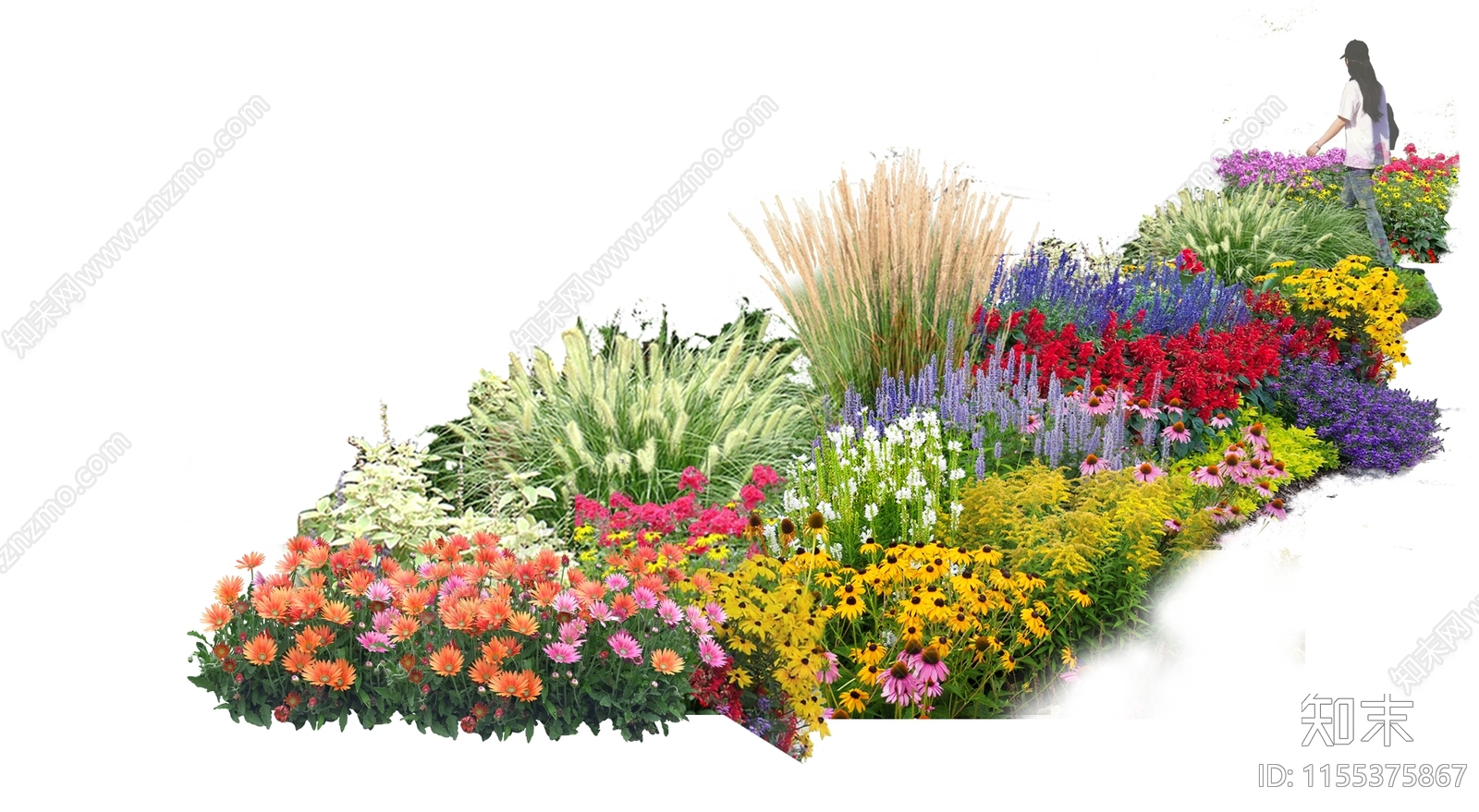 Psd免抠花草灌木花镜植物组团效果图素材下载【id1155375867】undefined