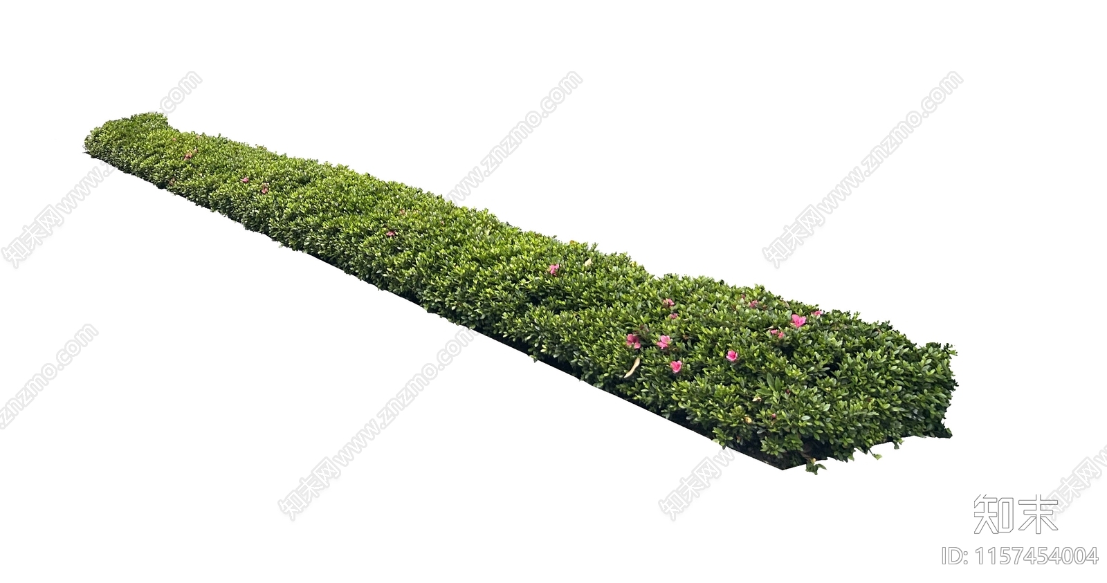 毛鹃杜鹃绿篱花篱灌木带植物免抠下载【id1157454004】undefined