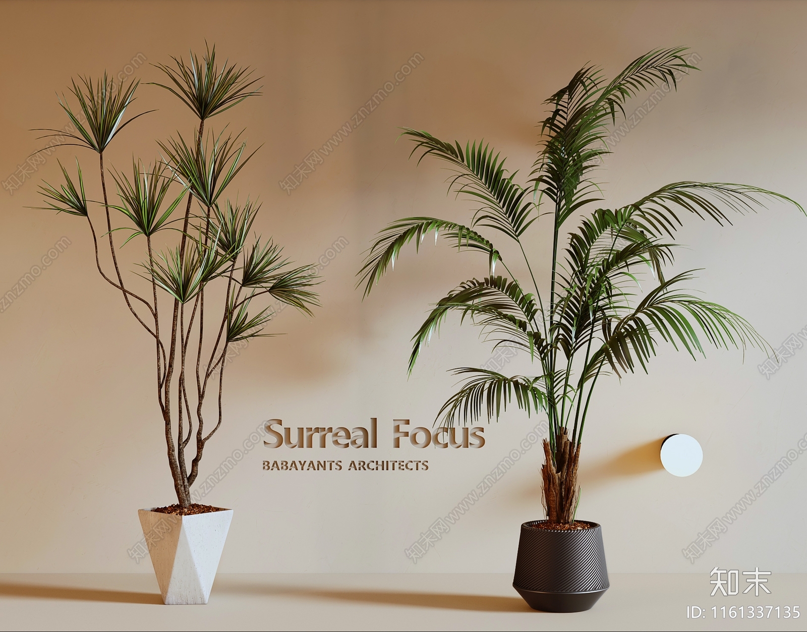现代绿植盆栽组合3d模型下载【id1161337135】知末3d模型网