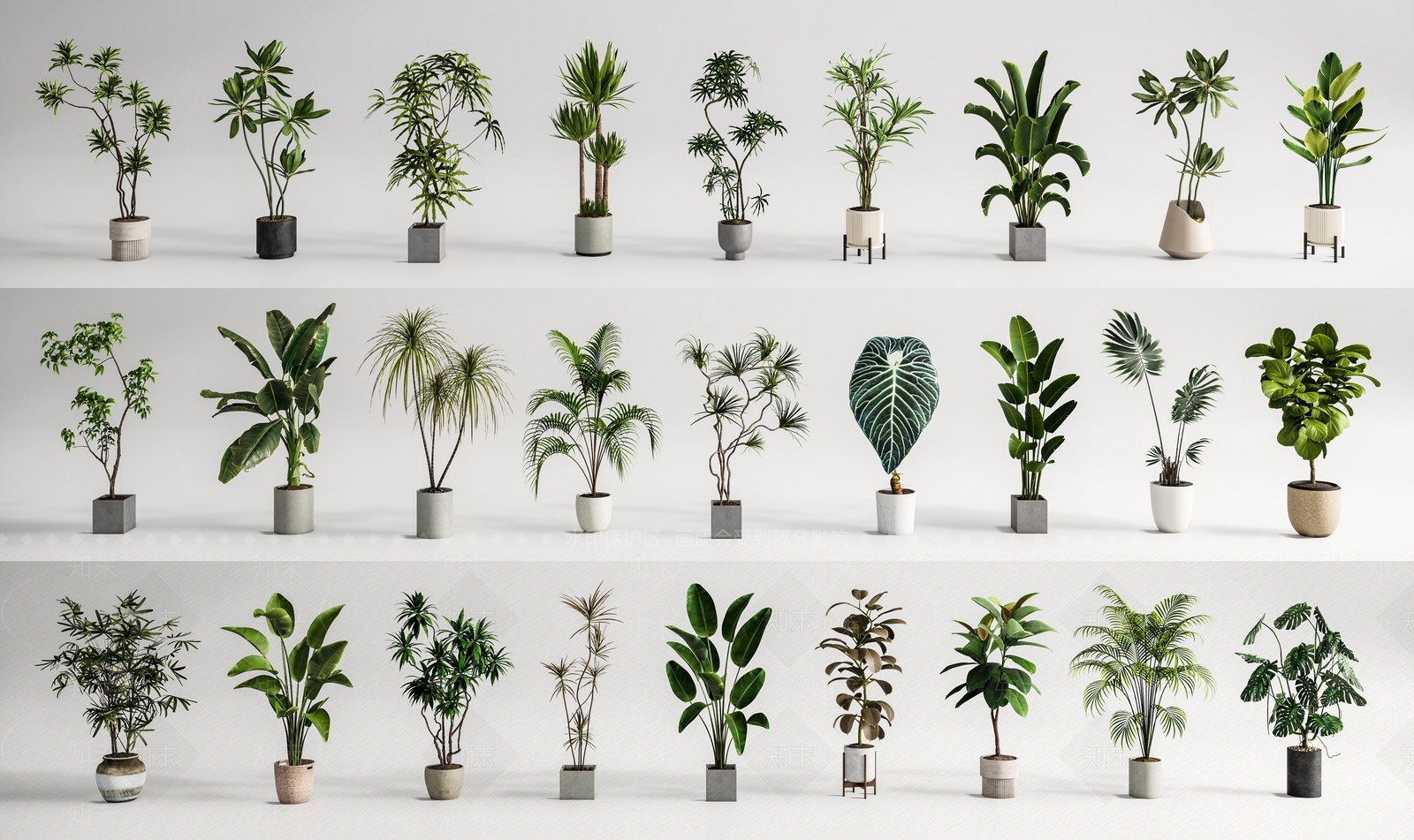 盆栽SU模型下载【ID:1190527305】_知末su模型网